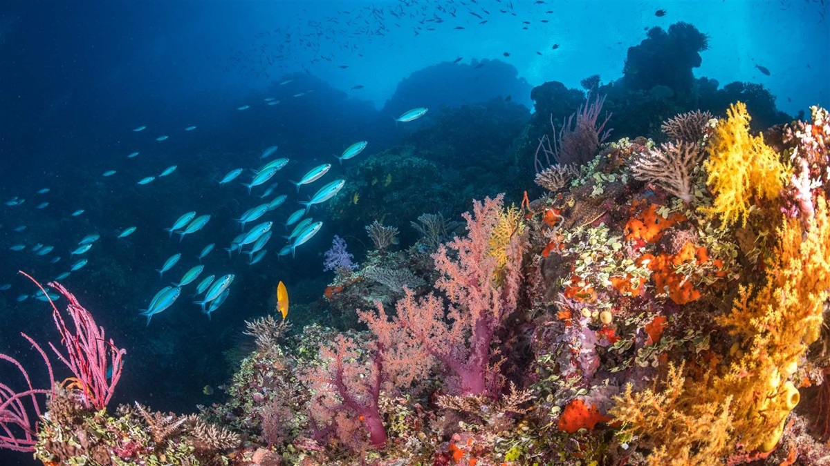 Breaking the Plastic Wave 2025 | The Pew Charitable Trusts