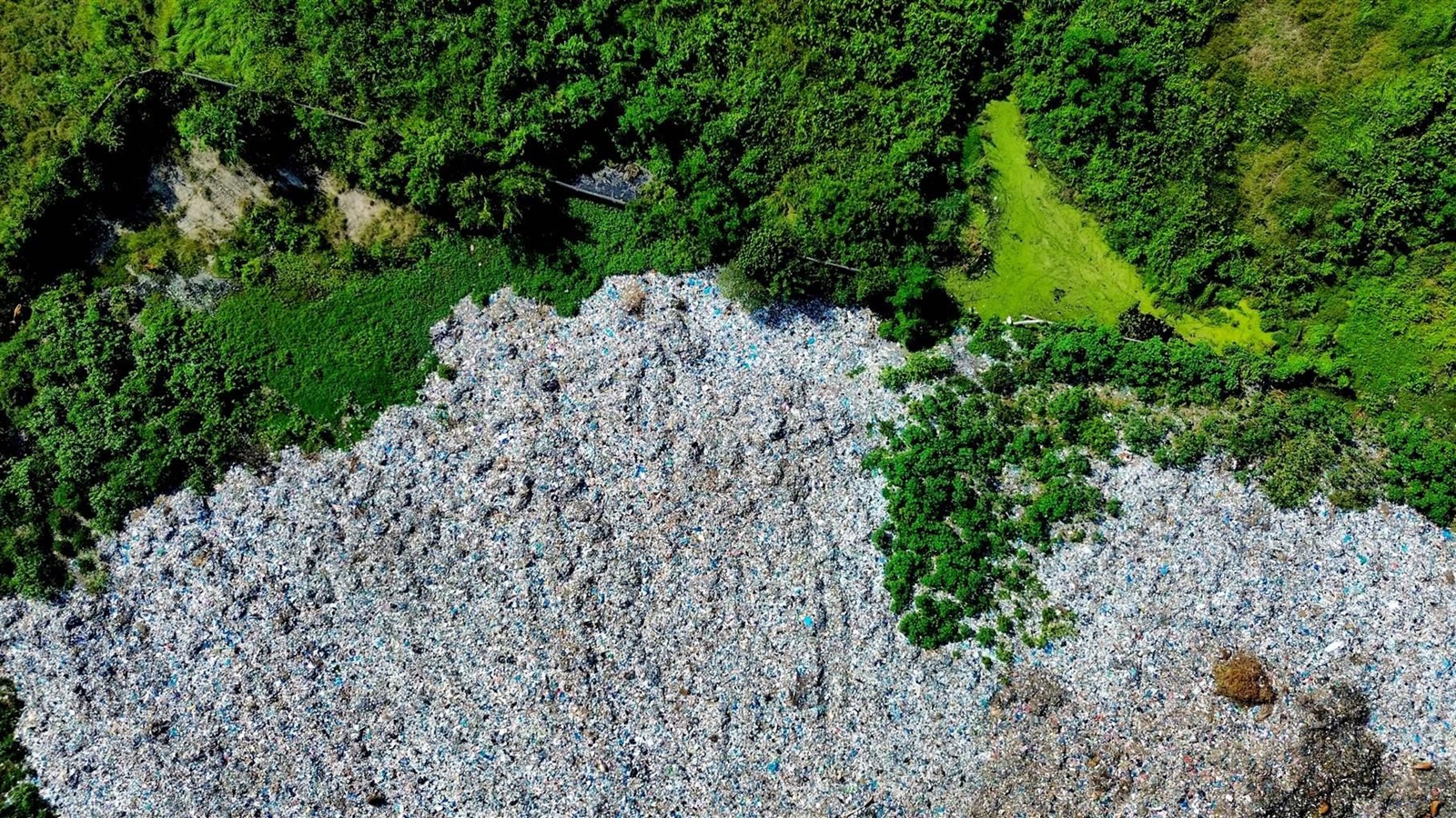 Plastic Pollution Growing at Troubling Rate With Significant ...