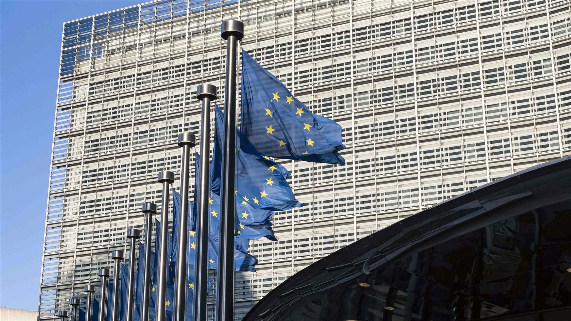 Conservation NGOs Urge European Commission to Adopt Ambitious Tyre ...