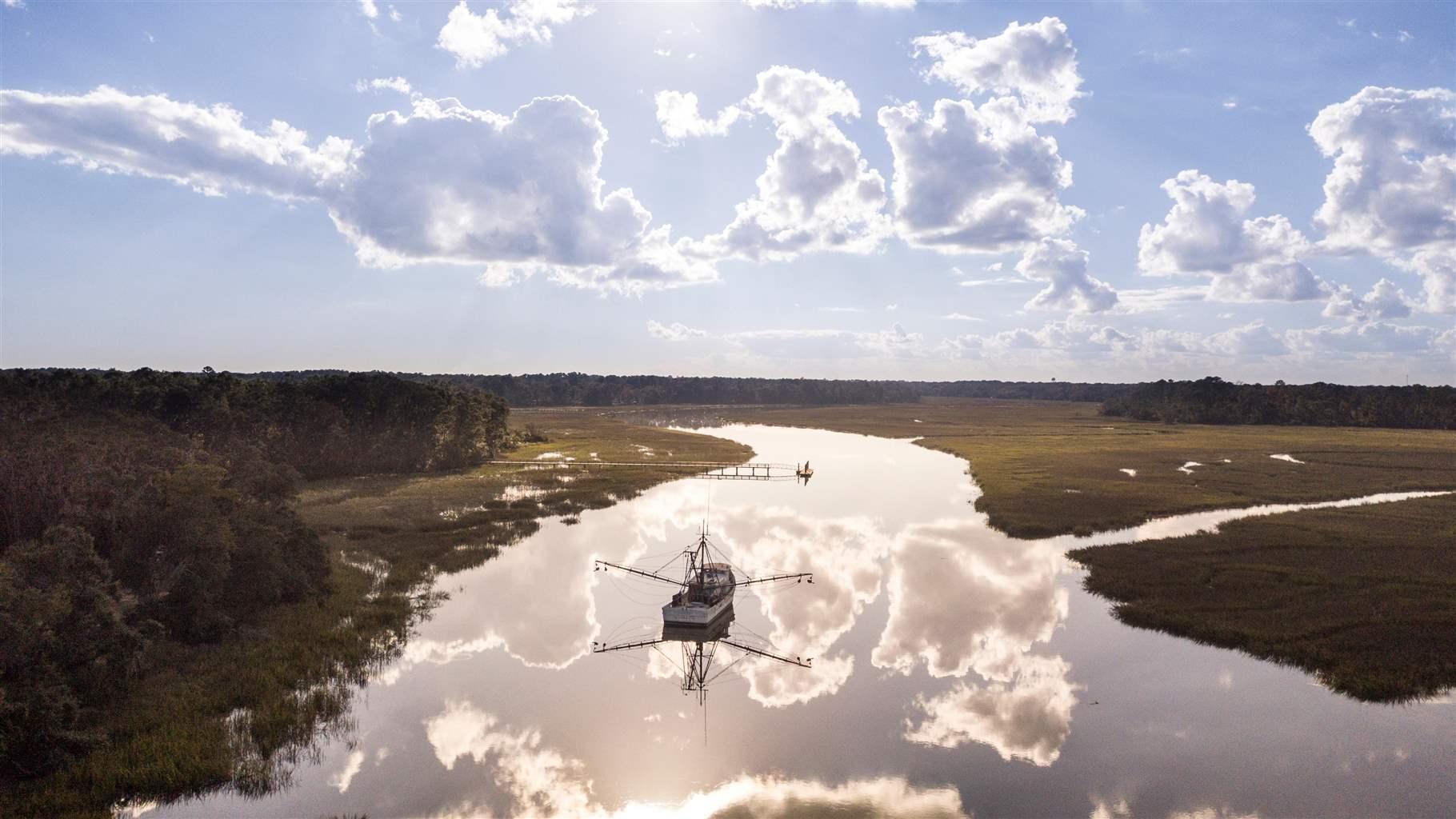 Australia’s New Nature Media Centre Shines Light on Biodiversity Loss ...