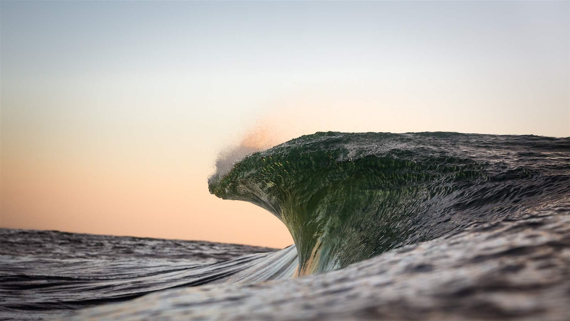 With High Seas Treaty in Force, Ocean Life Gains New Hope | The Pew ...