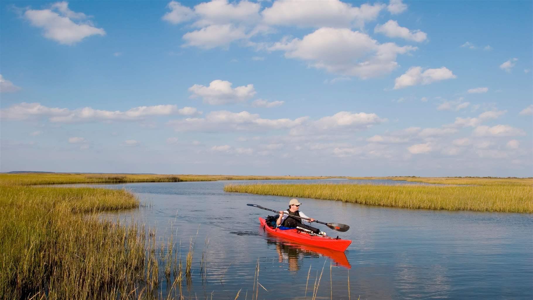 In Australia's Channel Country Water Brings Life | The Pew Charitable ...