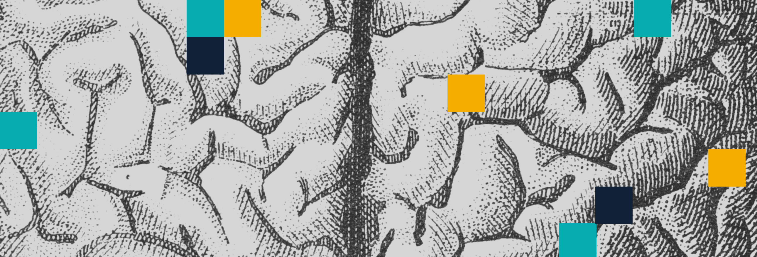 Putting Neuroscience in the Classroom: How the Brain Changes As We ...