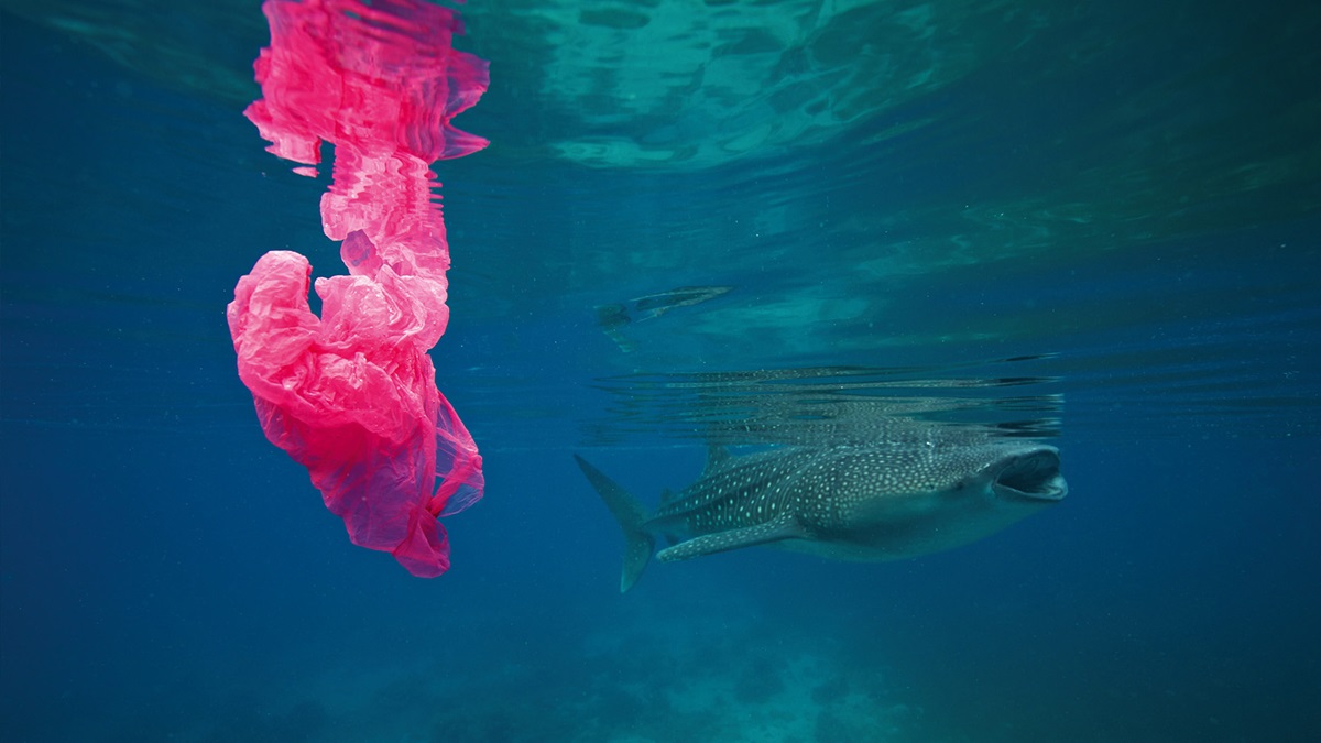 Confronting Ocean Plastic Pollution | The Pew Charitable Trusts