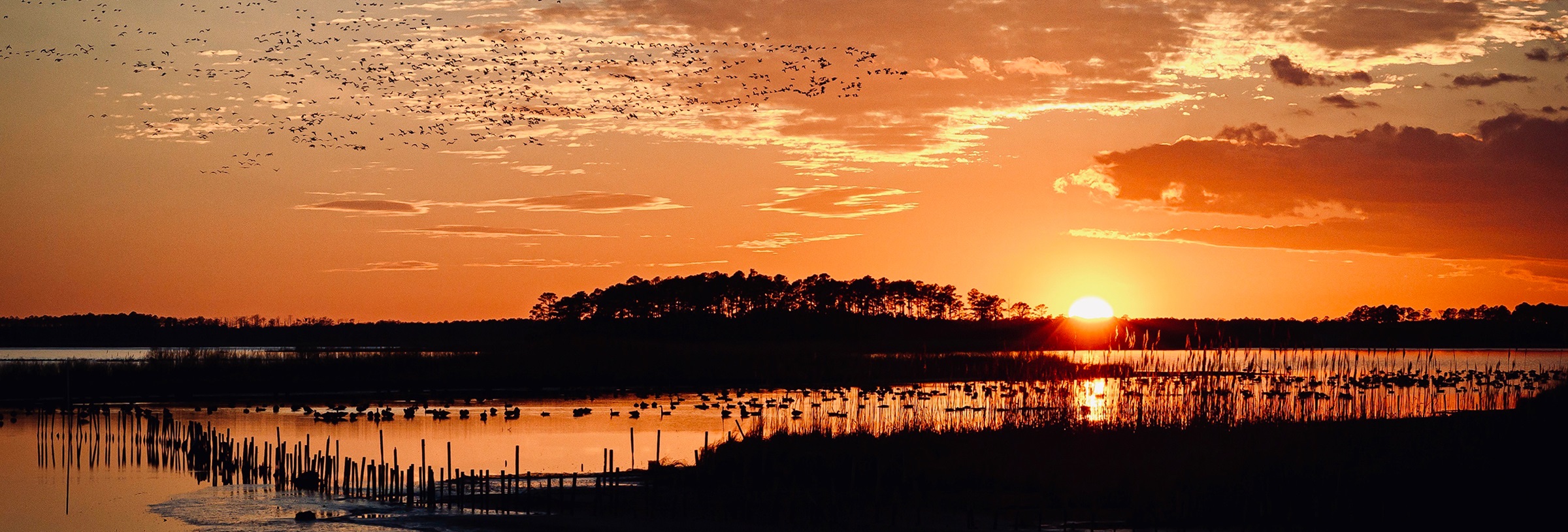 When the Water Rises | The Pew Charitable Trusts