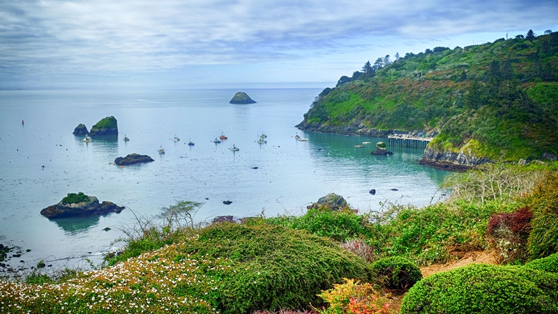 Tribal Nations Announce First Ocean and Coastal Protections in U.S ...