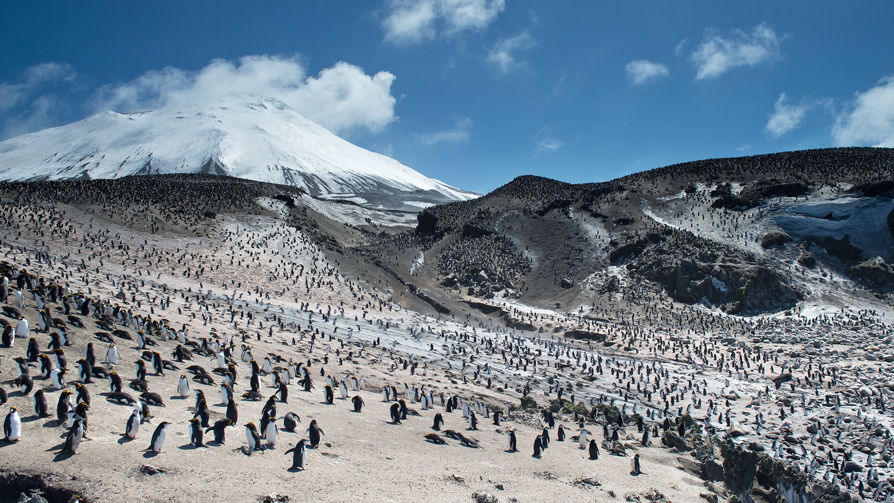 Expanded Protections for a Biological Hot Spot | The Pew Charitable Trusts