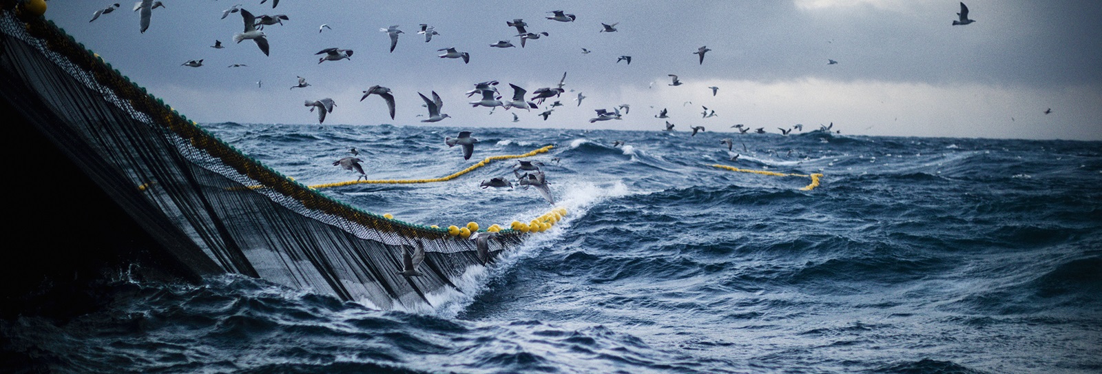 A Global Agreement to Save The High Seas | The Pew Charitable Trusts