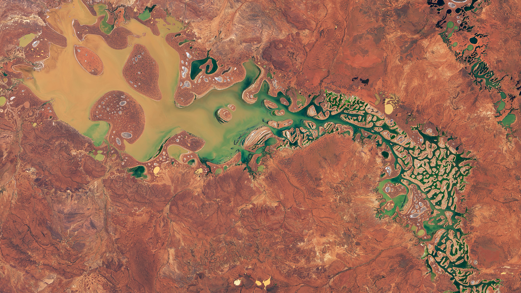 How an Ancient Culture in Australia Powers Modern Conservation | The ...