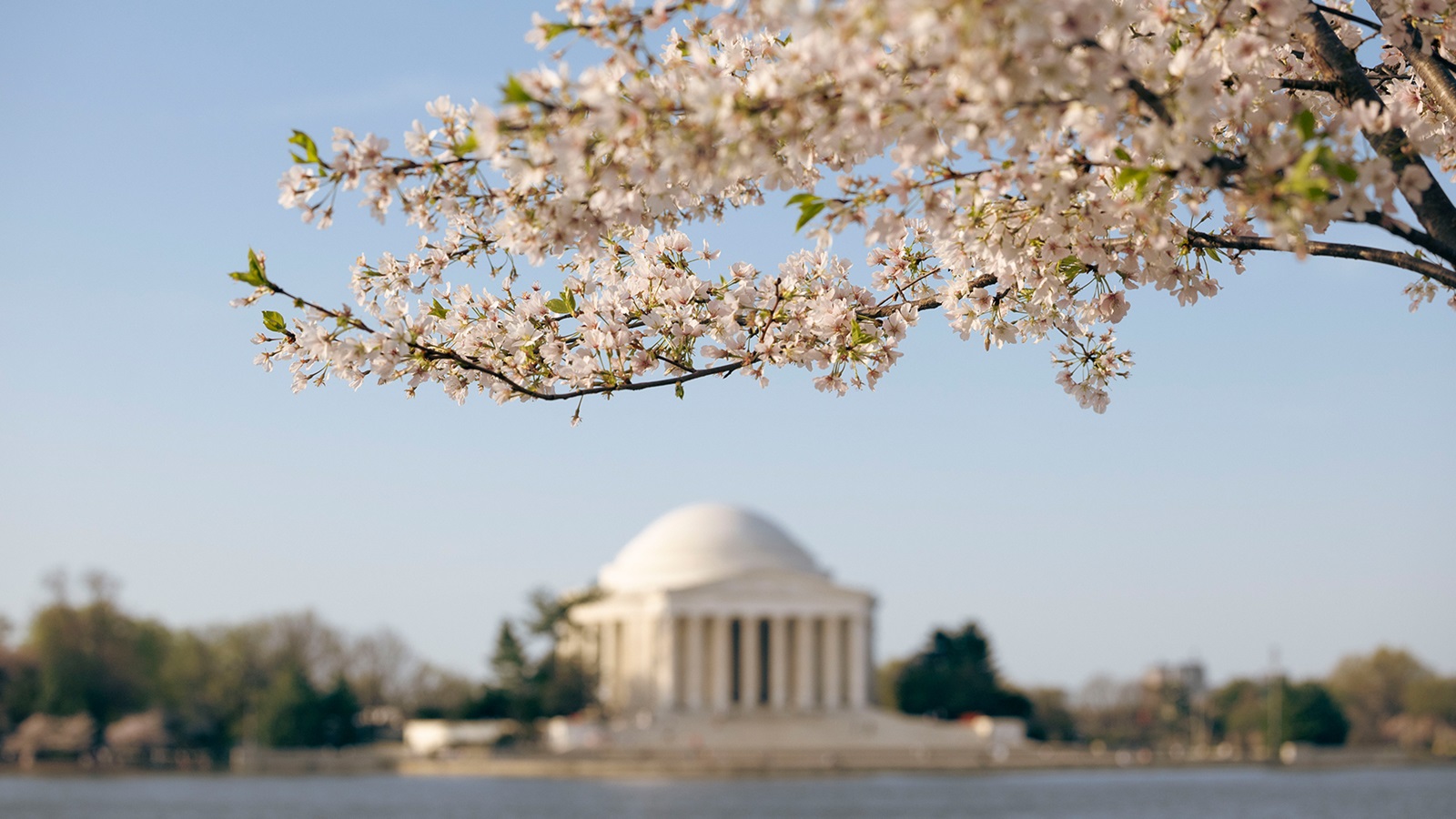 The Big Picture | The Pew Charitable Trusts