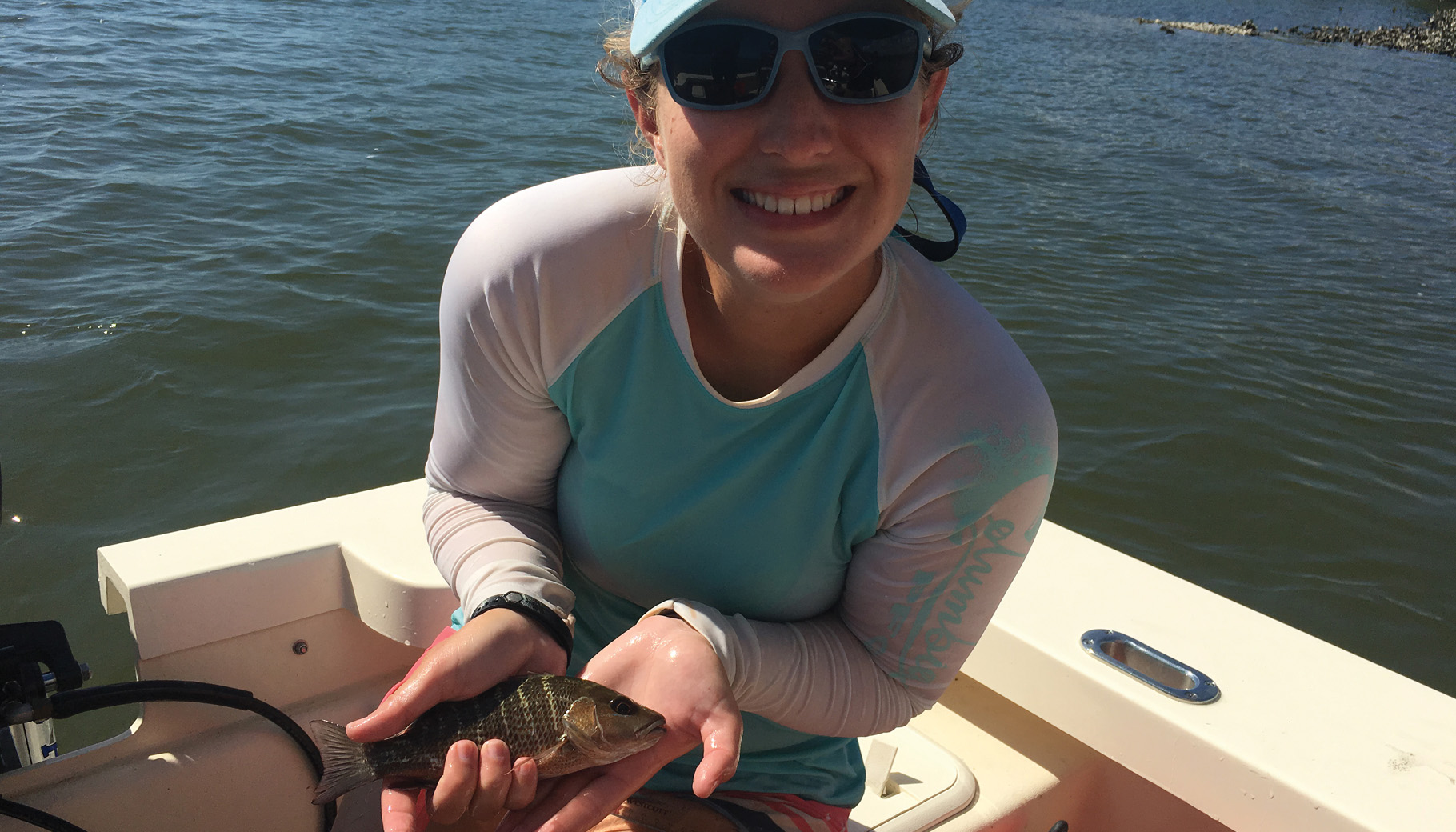 Study Supports Current Approach to Rebuilding Fish Populations | The ...