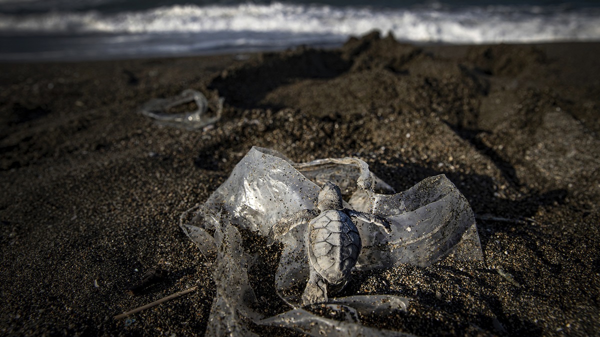 It’s Time to Act Boldly on Plastic | The Pew Charitable Trusts