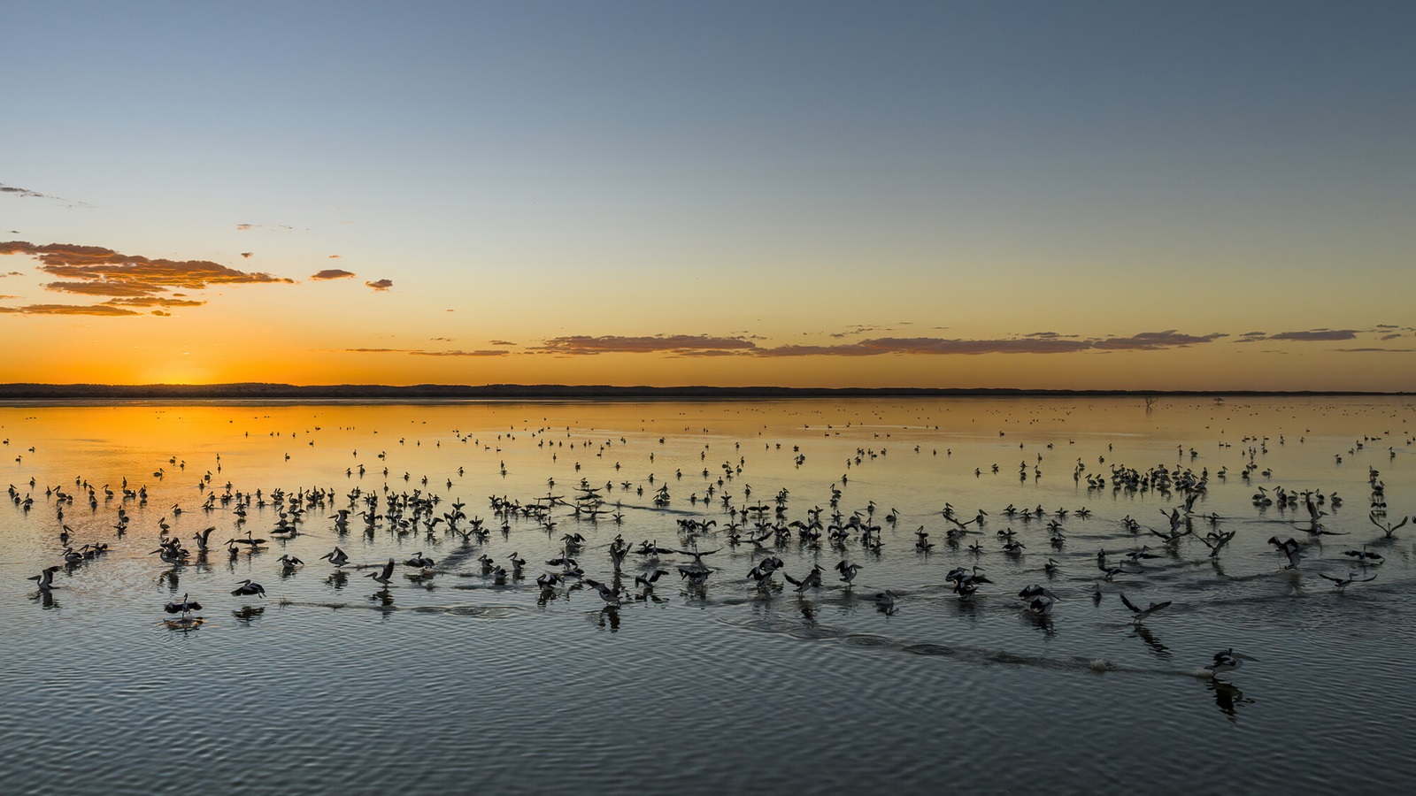 In Australia's Channel Country Water Brings Life | The Pew Charitable ...